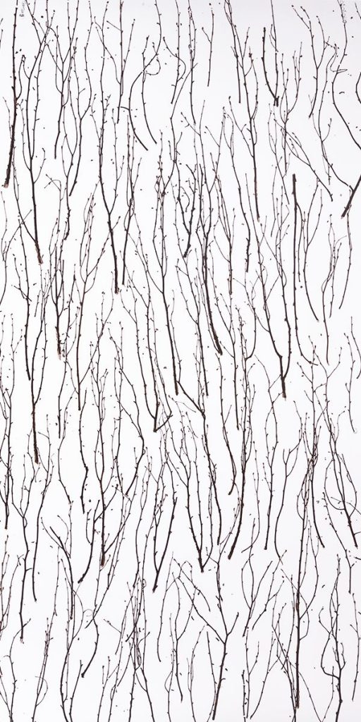 Birch | Translucent Decorative Resin Panels | DECO DECO