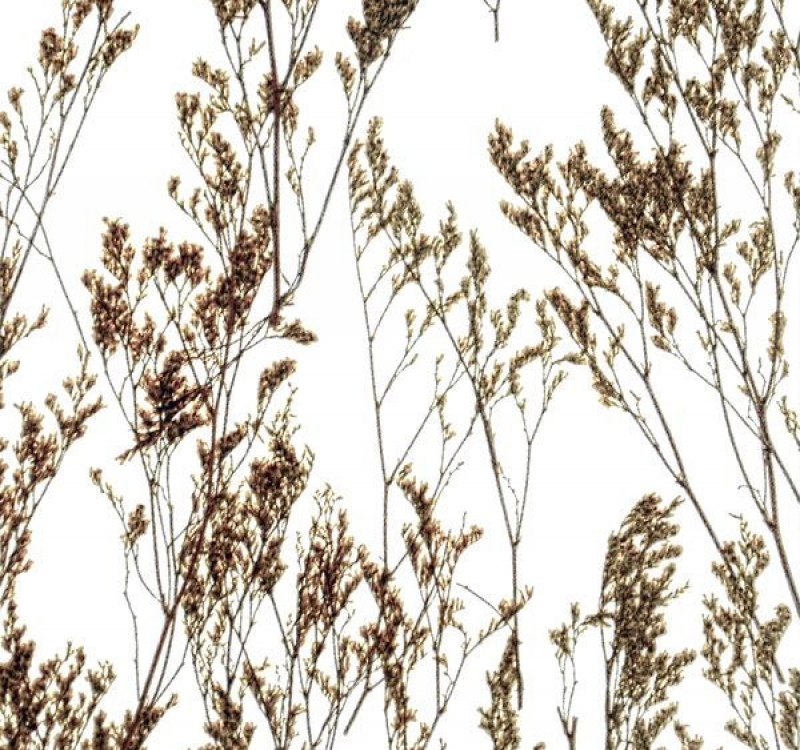 Statice | Translucent Decorative Resin Panels | DECO DECO